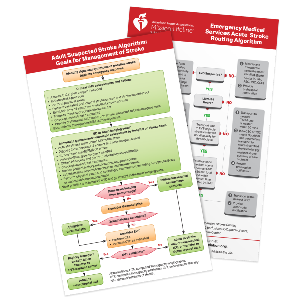 Suspected Stroke and EMS Acute Stroke Routing Algorithm Card (Pack of ...